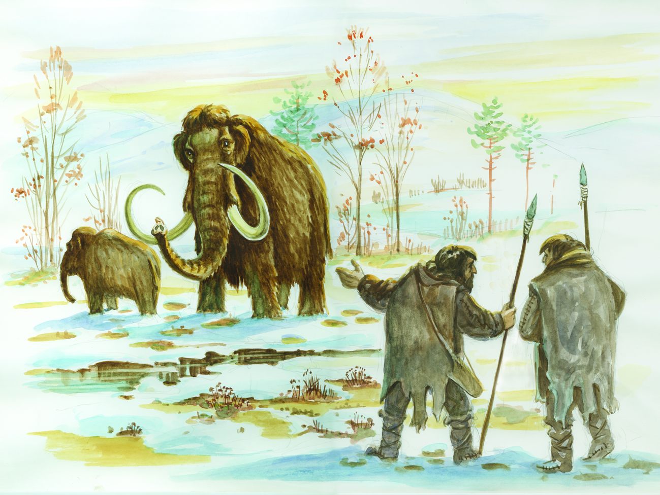 Mamut po mamutu - MM:K